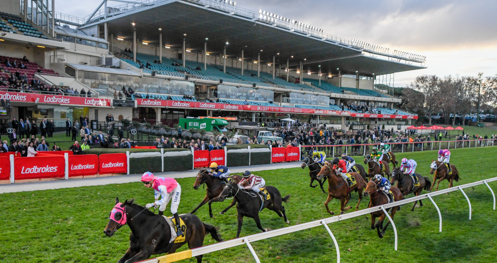 William Reid Stakes Night – Moonee Valley 19th March – Mitchbet